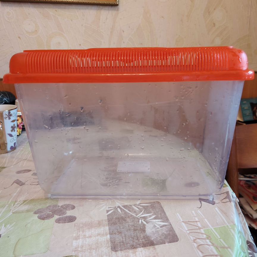 Террариум-переноска для рептилии бу