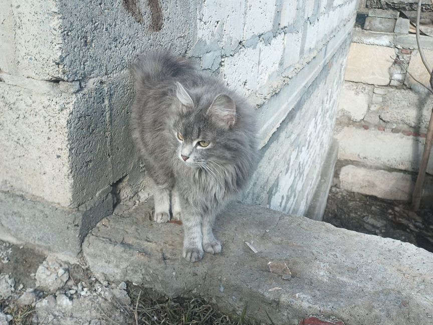 Подарите дом
