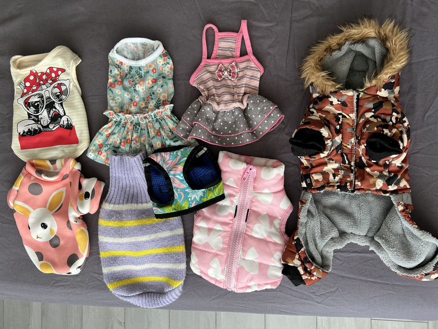 Одежда для маленьких собак и кошек