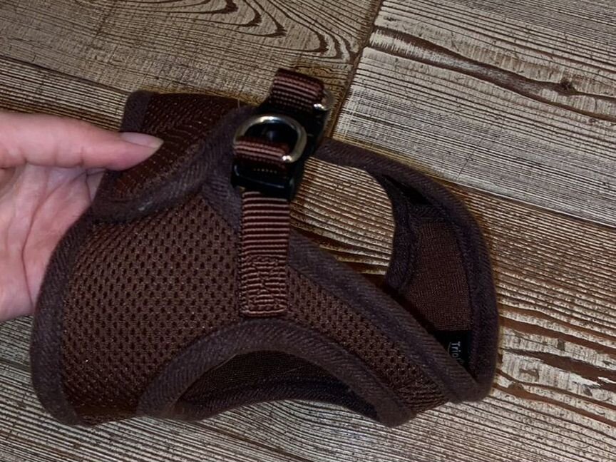 Шлейка для маленькой собаки