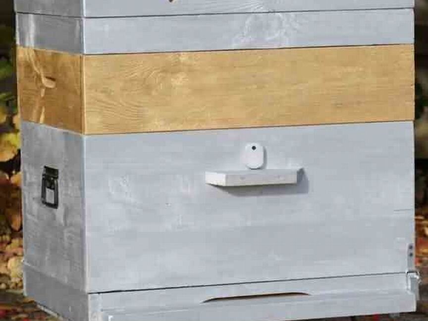 Улей 16 рамочный Дадана