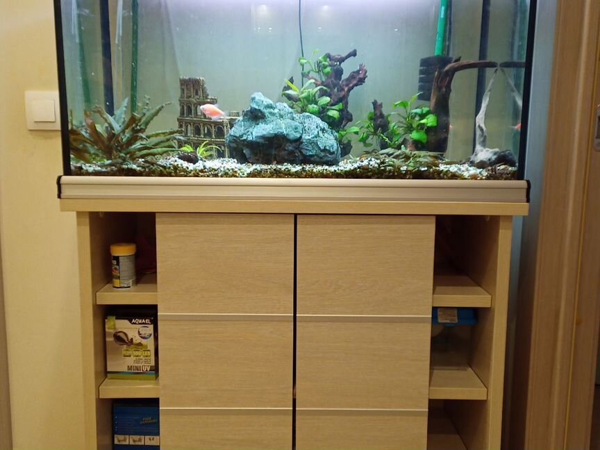 Аквариум 135л с тумбой и всем что есть внутри