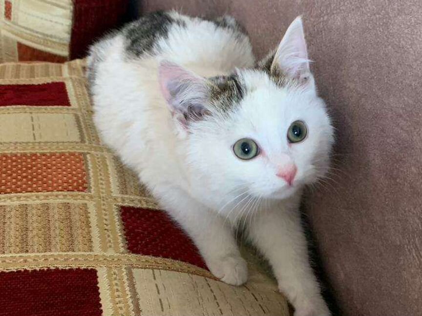 Мальчик малыш 2 месяца