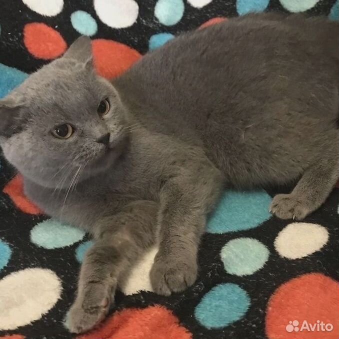 Маргарита из зоны сво ищет дом