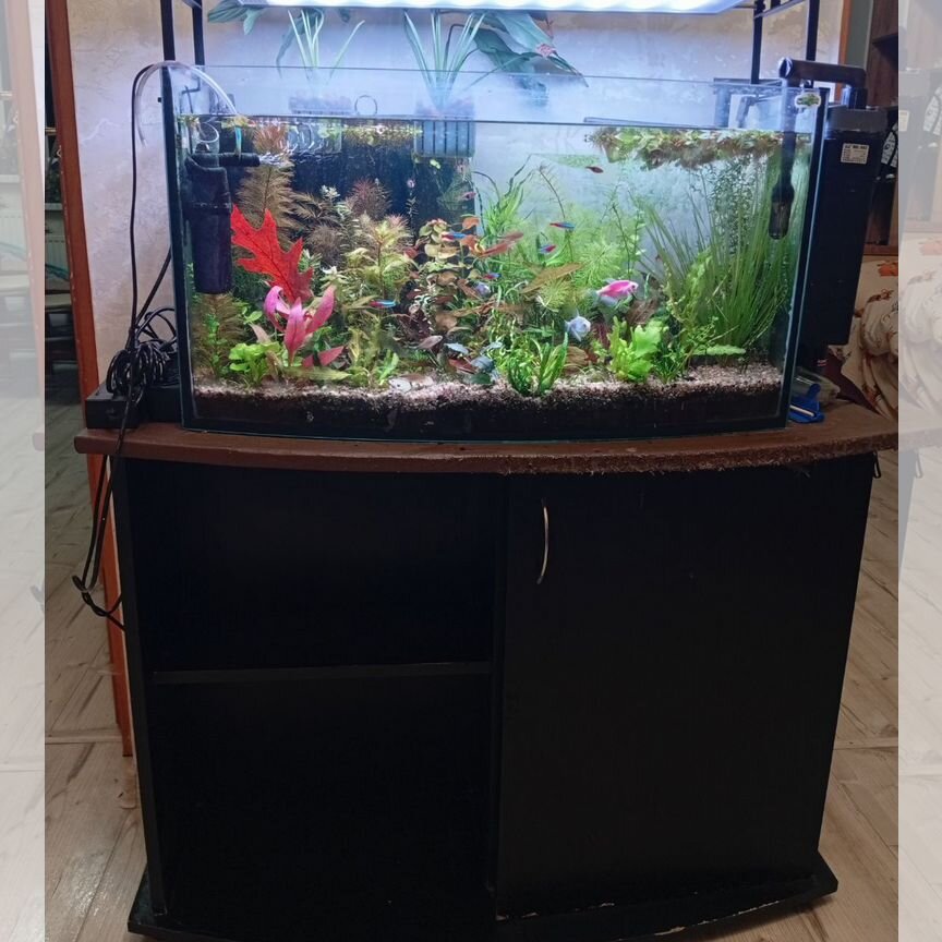 Аквариум 80 л