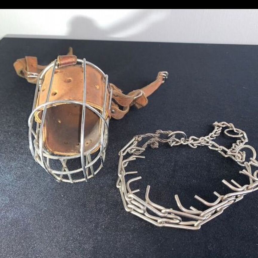 Намордник и ошейник для средней собаки