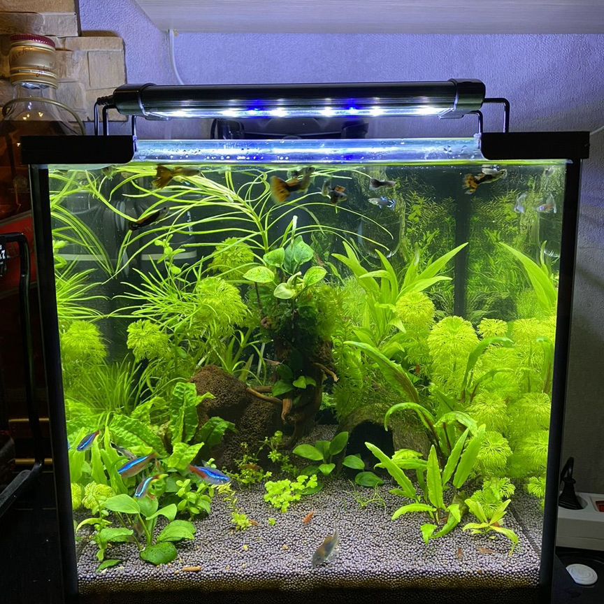 Аквариум cube 30 литров