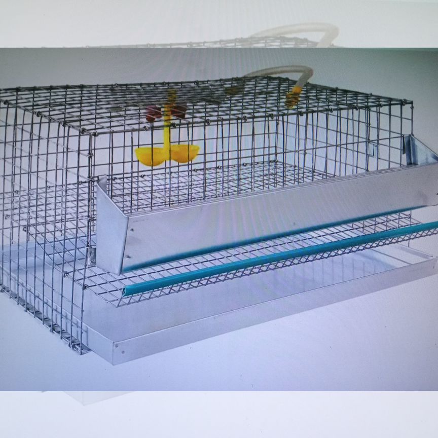 Продам клетку для перепелов