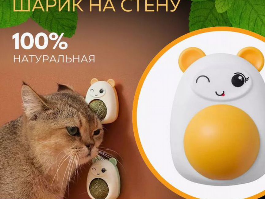 Кошачья мята оптом