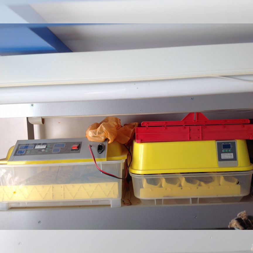 Продам новый инкубатор Janoel-42