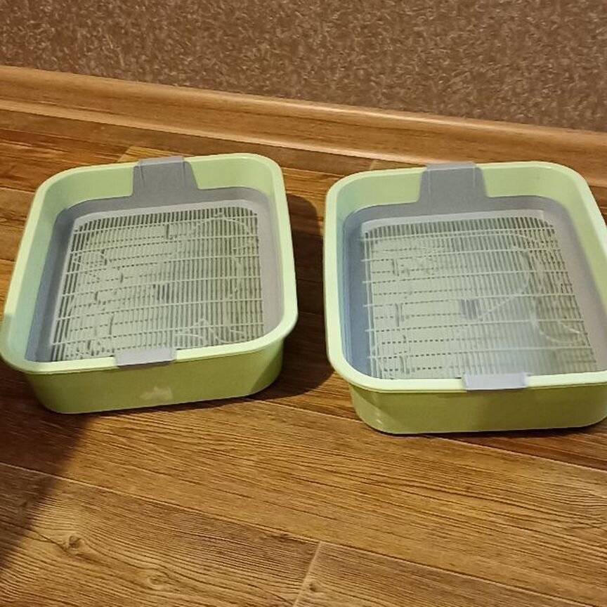 Лоток для котят