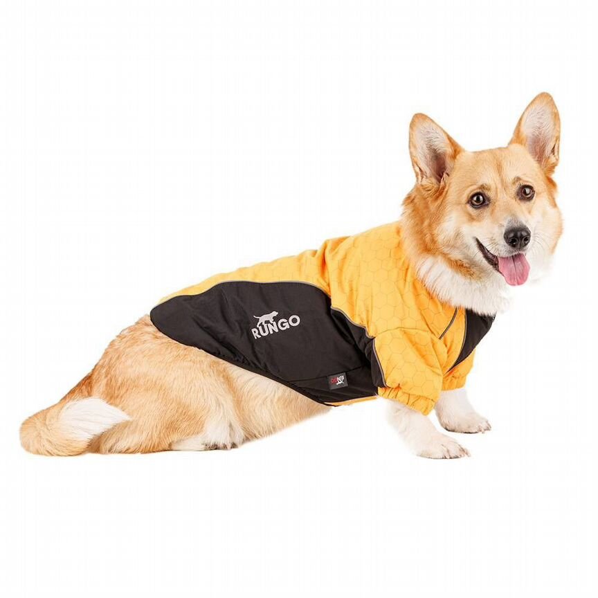 Куртка для собаки Rungo