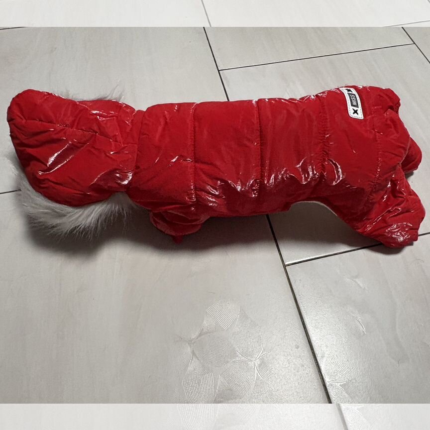 Одежда для маленьких собак