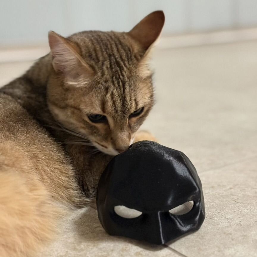 Бэткэт маска для кота