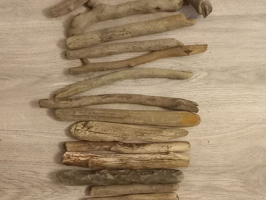 Коряги дрифтвуд