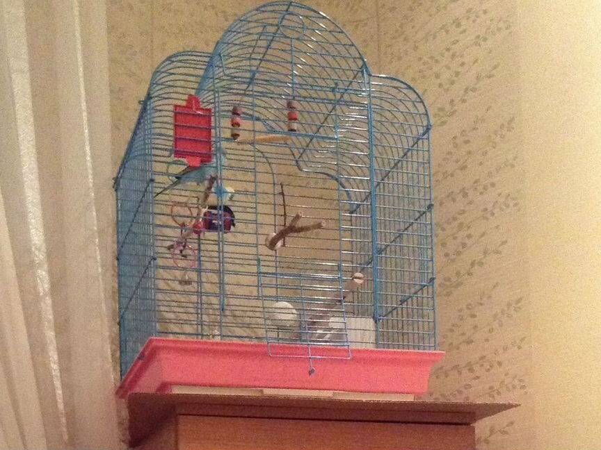 Клетка для попугая большая 60 см