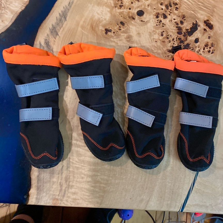 Сапожки для собачки