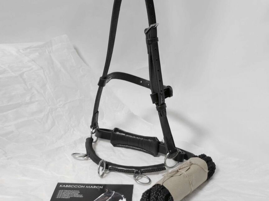 Кавессон с цепью March