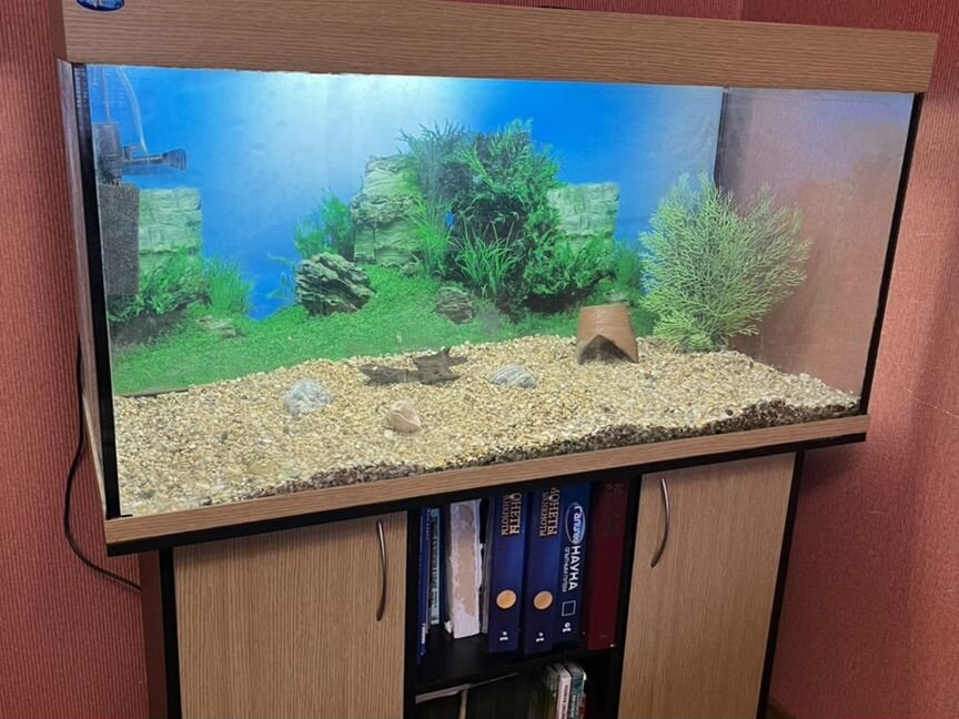 Аквариум с тумбой бу