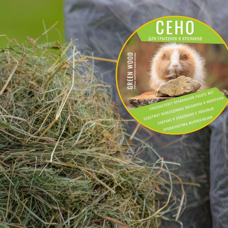 Сено для грызунов