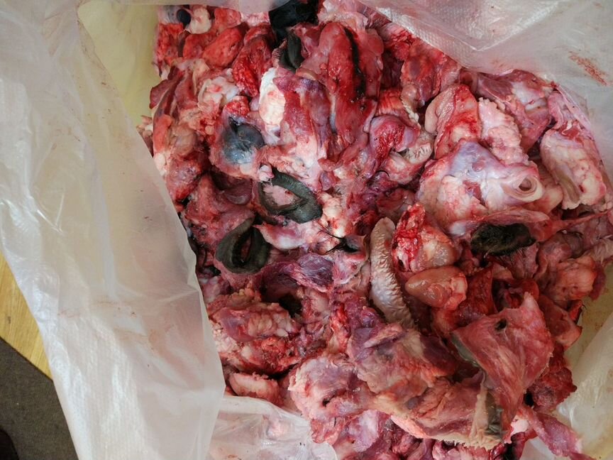 Корма для собак обрезь,рубец,фарш