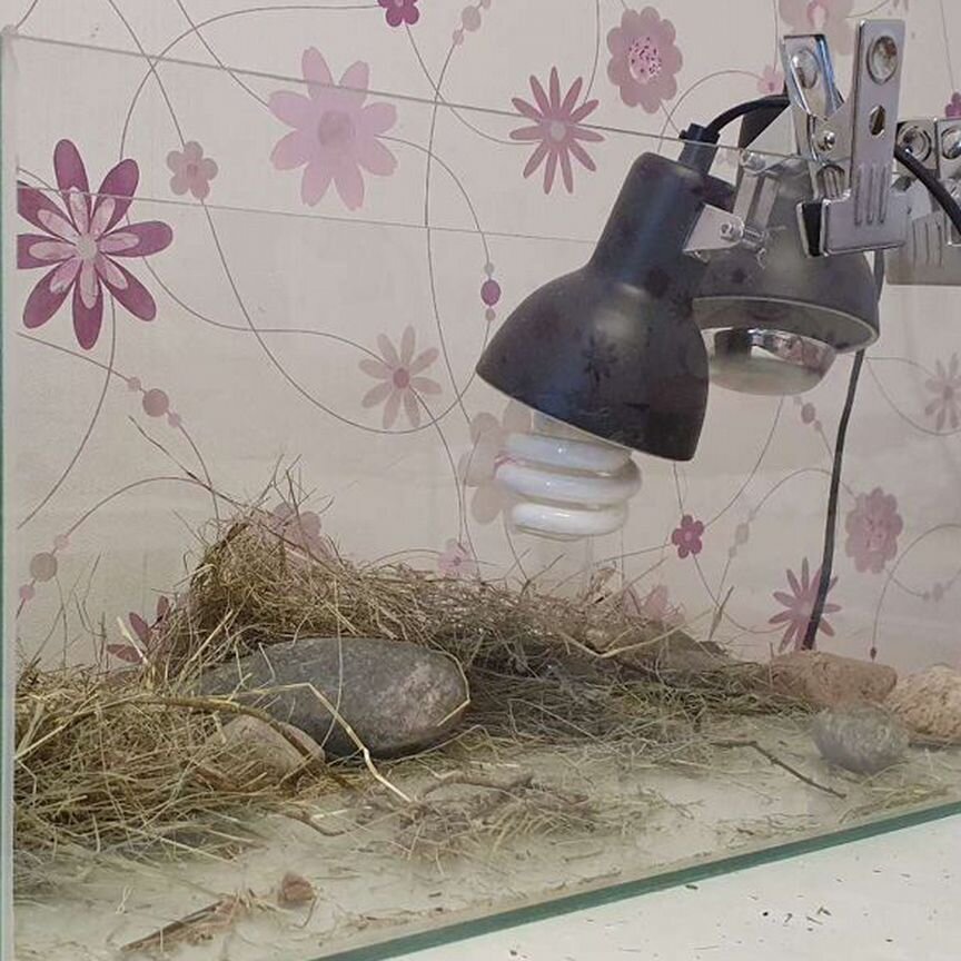 Светильник на прищепке