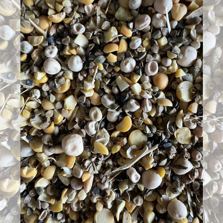 Отходы гороха