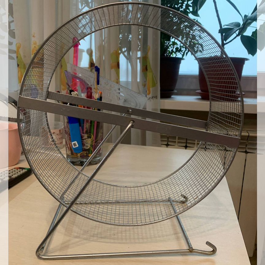 Колесо для шиншиллы