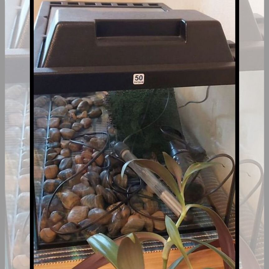 Аквариум 50 литров с подсветкой и мостиком