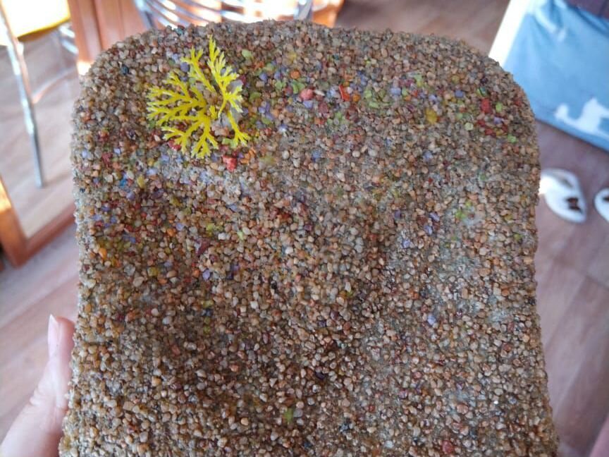 Мостик для черепахи