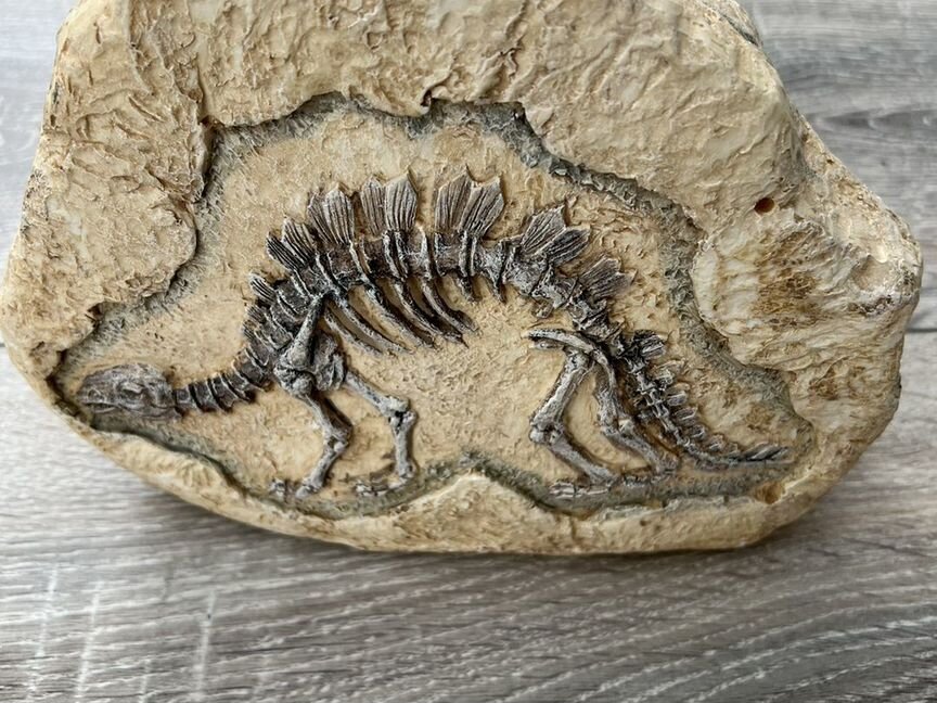 Укрытие для террариума,рептилий,черепах