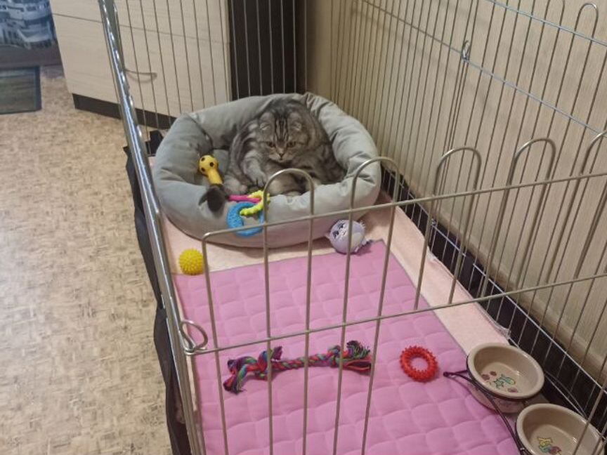 Вольер для собак в квартиру