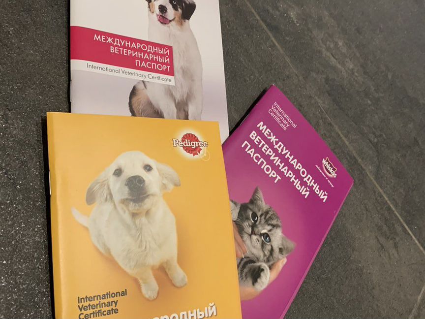 Паспорта ветеринарные
