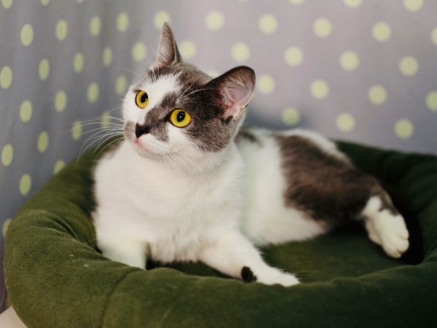 Самая ласковая малышка ищет дом