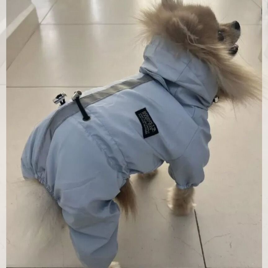 Одежда для собак