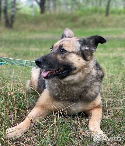 Старая Лида на доживание