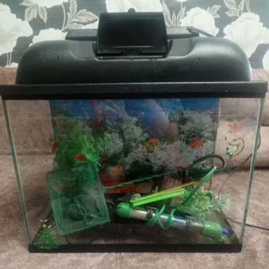 Аквариум с фильтром и камнями