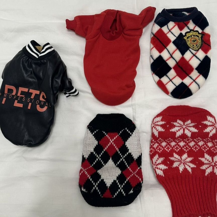 Одежда для маленьких собак