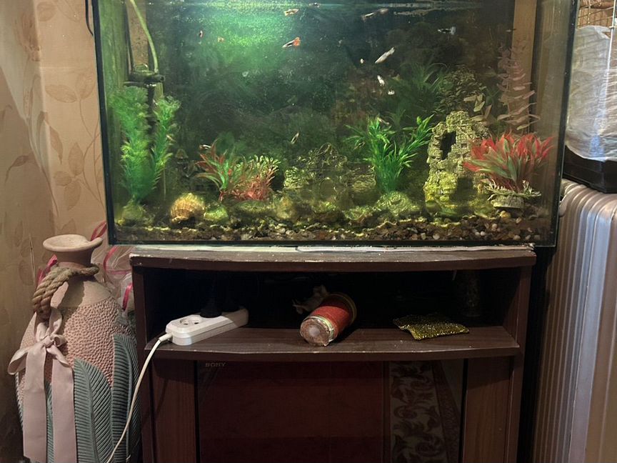 Аквариум с рыбками