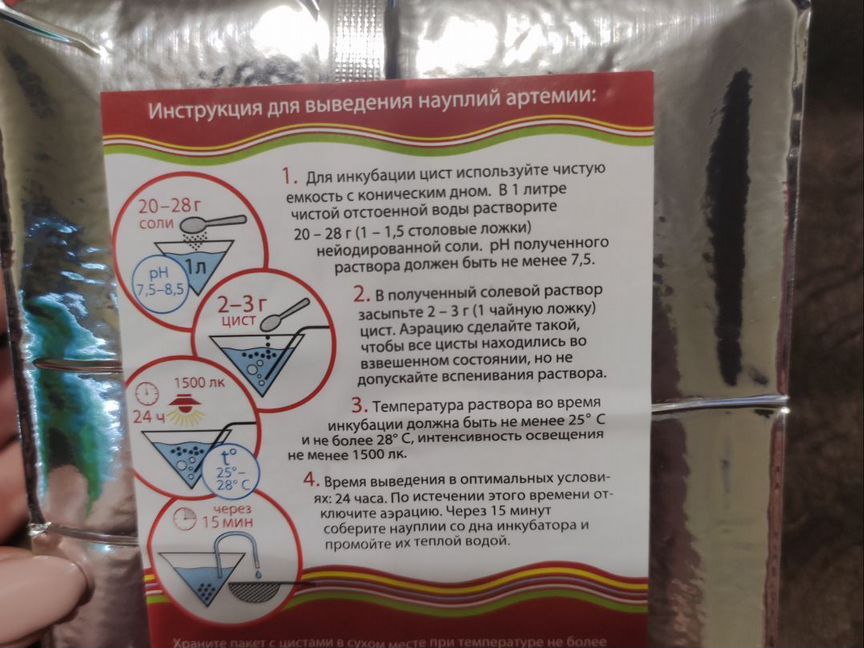 Артемия цисты