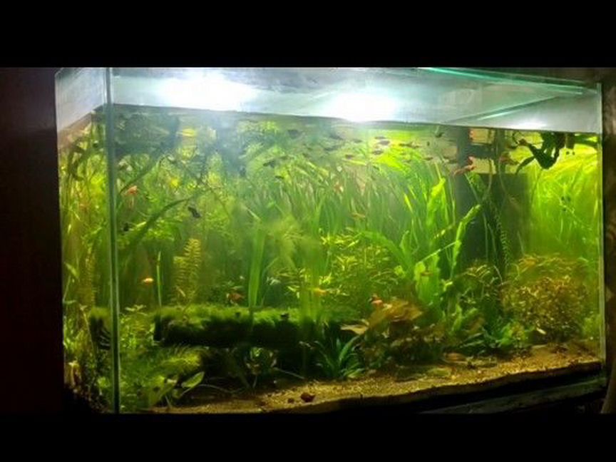 Аквариум 360л