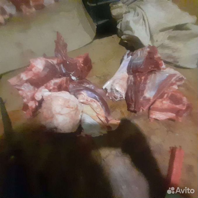 Козы на мясо