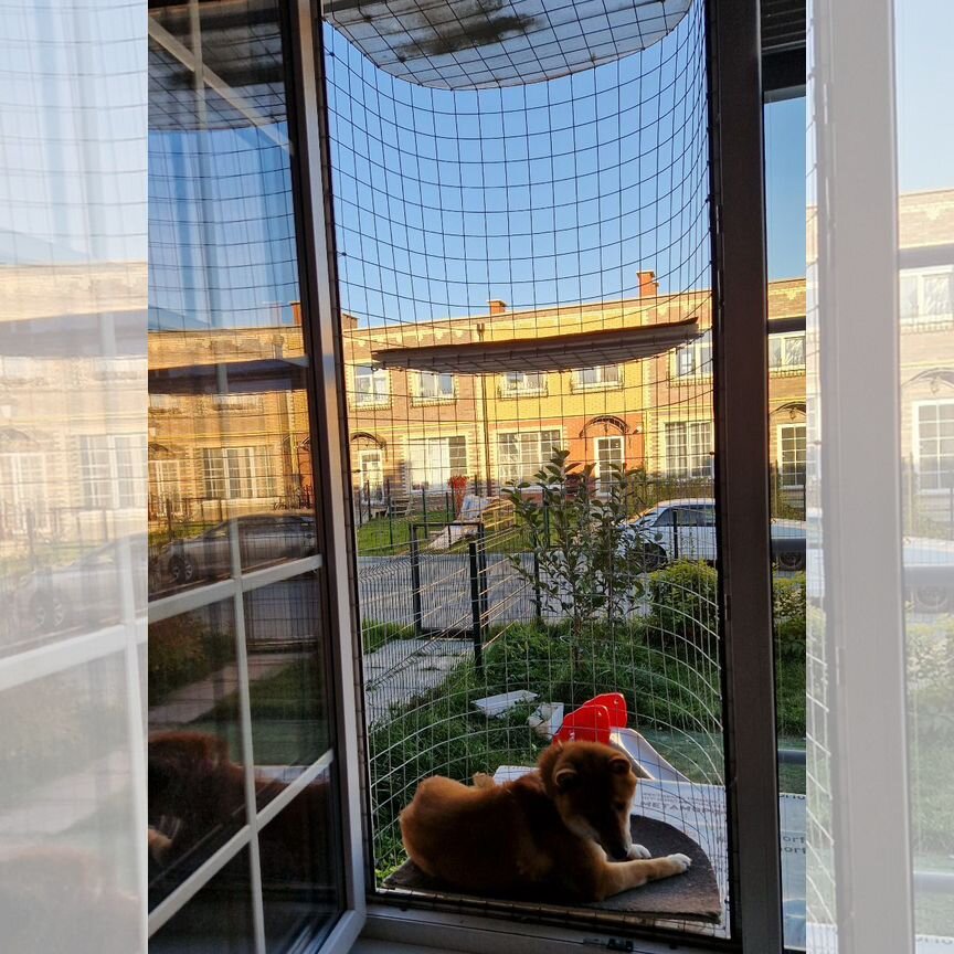 Продам балкончик для кошек и собачек