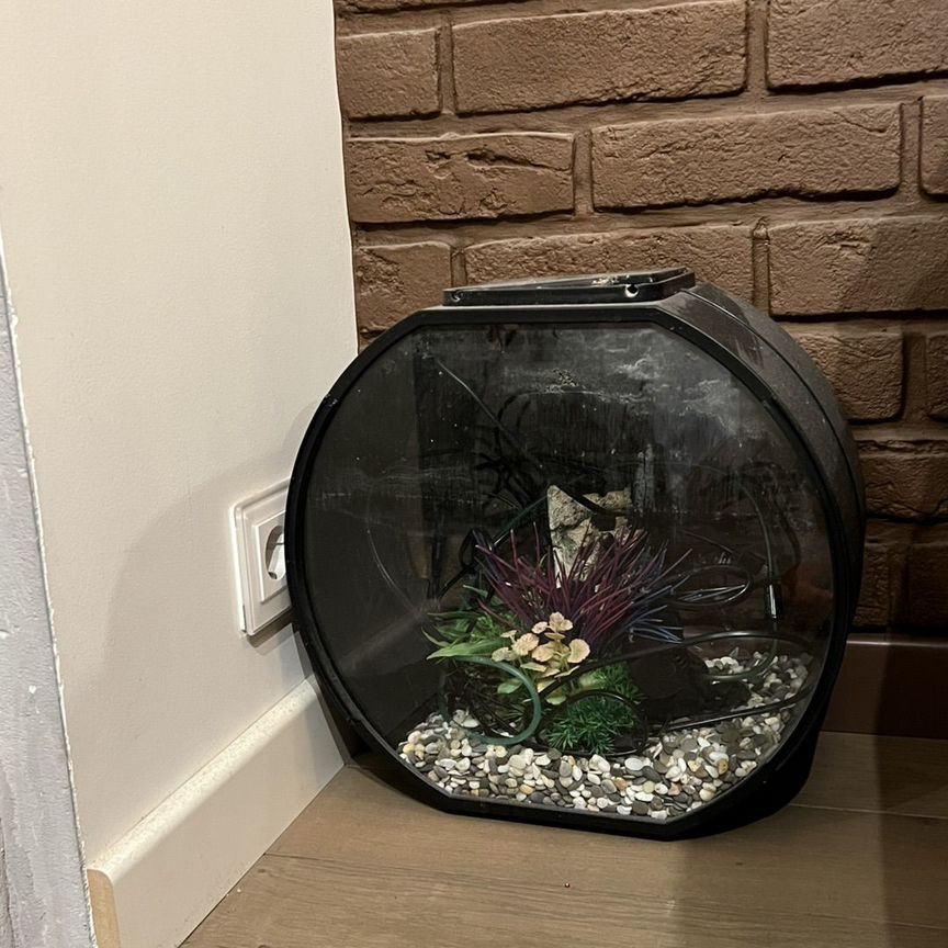 Аквариум Deco O