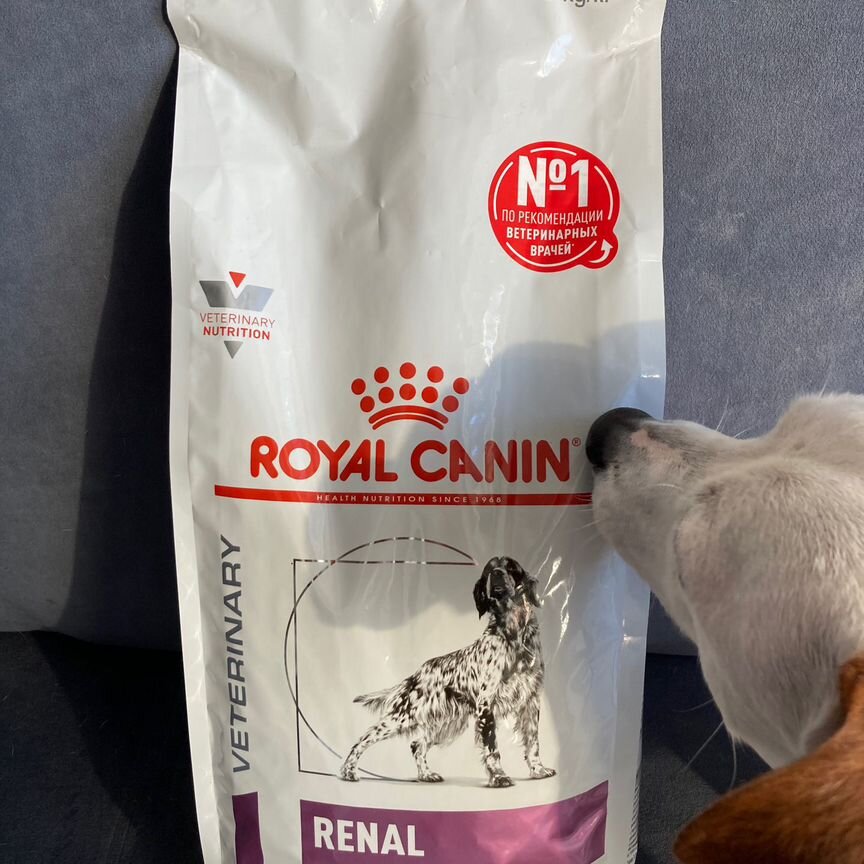 Корм для собак royal canin
