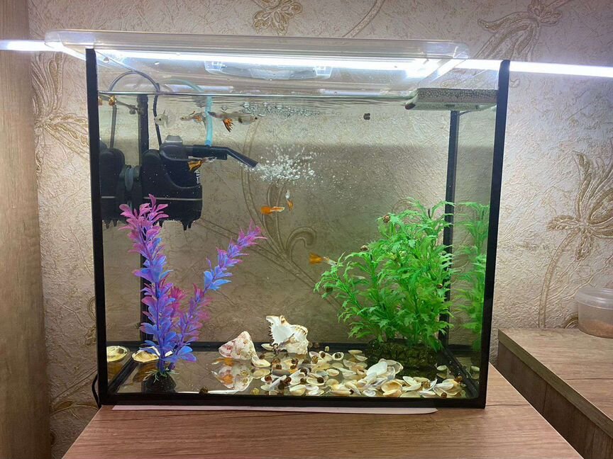 Аквариум 20л