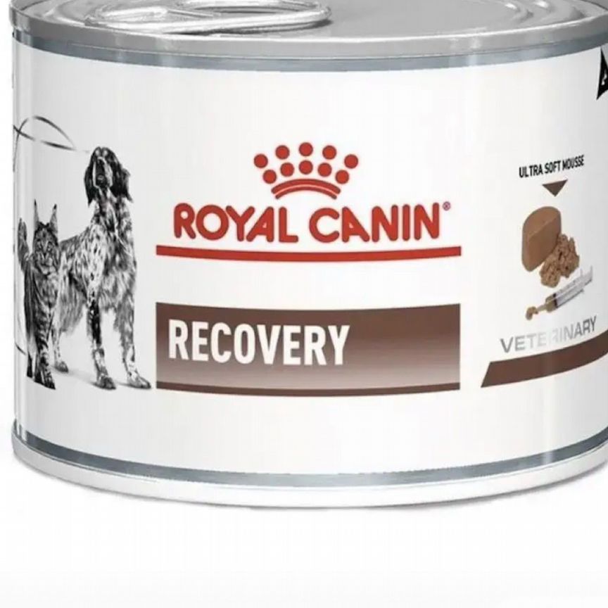 Royal canin recovery влажный, 5 банок