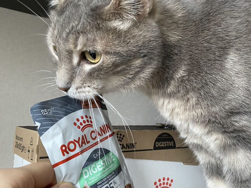 Royal Canin Digestive Care паучи в соусе