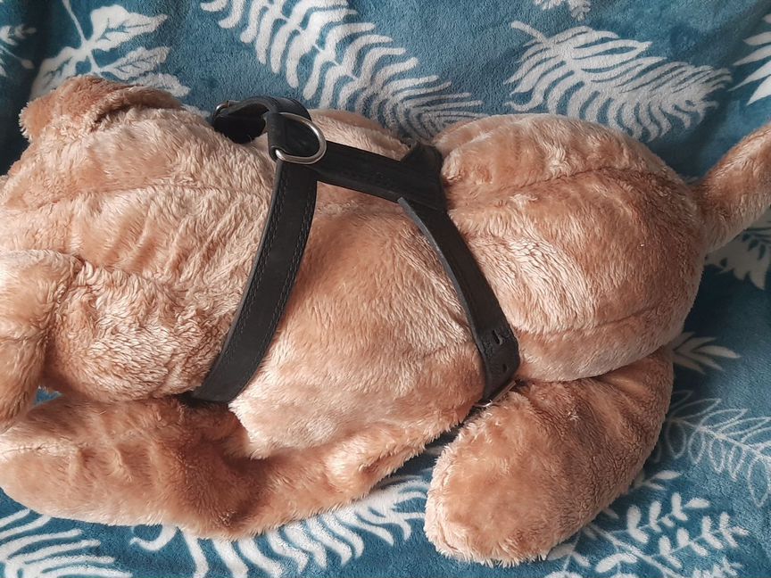 Шлейка кожаная Doggeer для крупной собаки