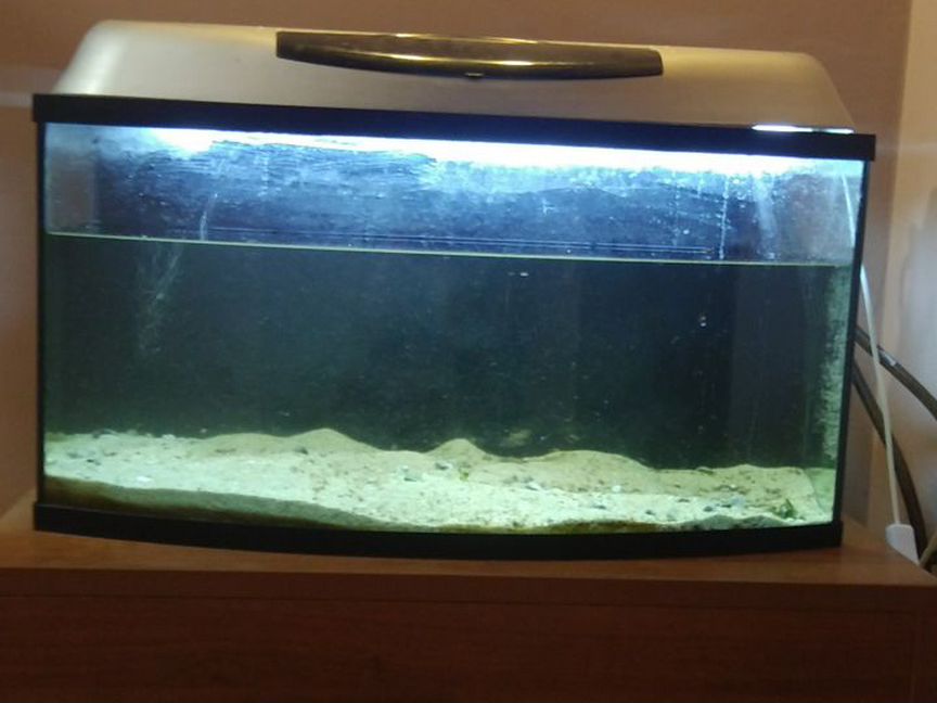 Аквариум Aquael pearl 100l